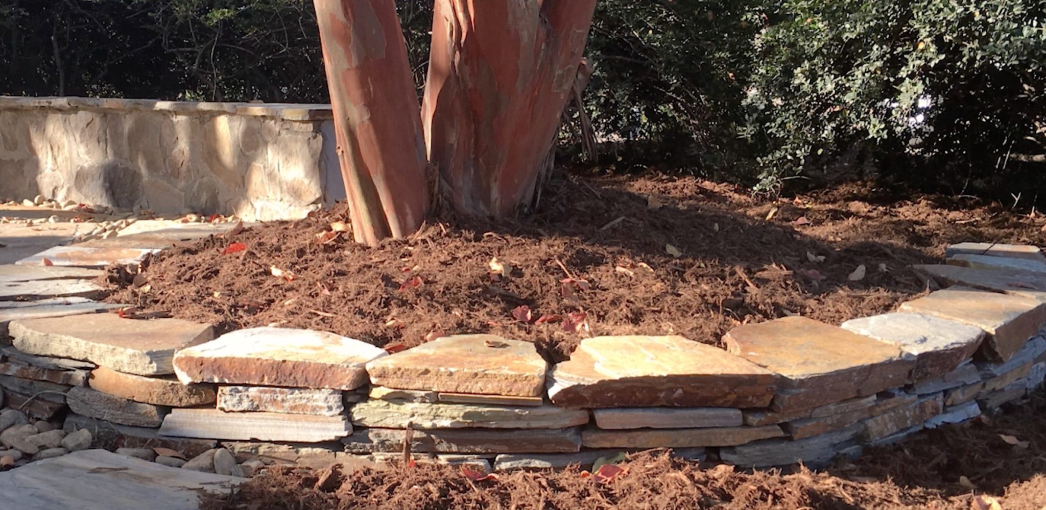 How To Build a Retaining Wall Around a Tree on a Slope?